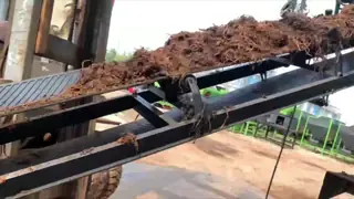 Vertical Fertilizer Cow Dung Crusher Machine Stainless Steel SUS304 wear resistant