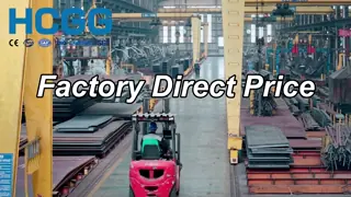 Professional Steel Structure Building