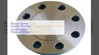 Copper Nickel Flange DN25 PN40 Industrial Strength