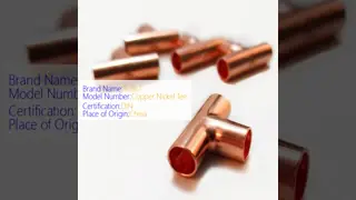 Coated Brass Tee Fittings Versatile & Durable