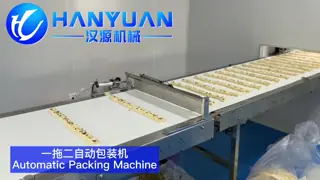 Automatic Packing Machine