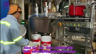 2182 J14 In-Line Automatic Two-Head Rotor Pump Filling, Capping, and Sealing Production Line
