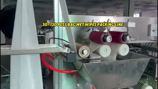 High Efficient 5-30 PCs Pocket Wipes Automatic Manufacturing Packaging Line