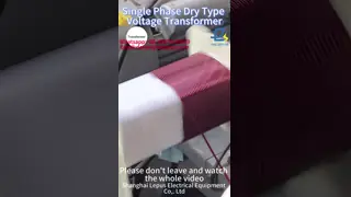 2 Phase 4000VA 4KW Voltage Transformer