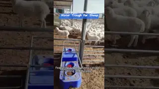 1.7m Heated Livestock Water Trough Made Of Durable Plastic Casing To Withstand Extreme Cold Conditio
