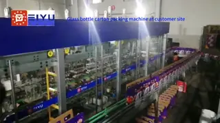 Glass bottle carton packing machine at customer site