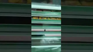 Home Freeze Dryer 25 Year Freshness