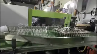 Preform Vision Inspection Machine