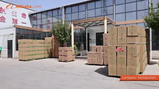 Shaanxi Xinyan Yongzhen Industrial Co., Ltd.