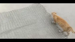 What does a woven stainless steel wire cable mesh look like