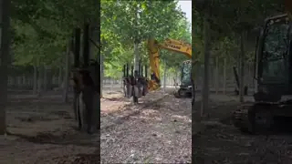 OEM Hydraulic Excavator Tree Spade and Tree Mover Machine with High Survival Rate