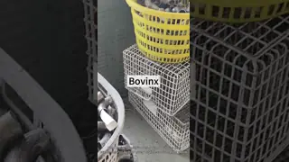  Bovinx: Precision Machining, Artisan Quality for Every Stainless Steel Elbow