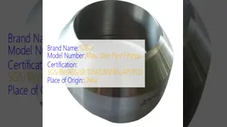 Forged Steel Threadolet Fittings for Reliable Piping