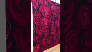 Red Rose Tension Fabric Backdrop