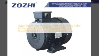 Water Blaster Motor 240V Australia