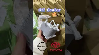 Nissan Tiida Teana Transmission Oil Filter 31728-31X01