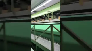 Polyester Dryer Mesh Conveyor Belt for Paper Mills