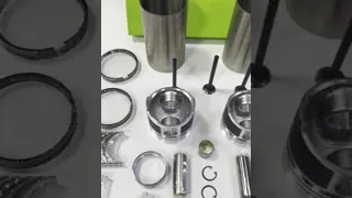 V1702 V1902 Overhaul Rebuild Kit