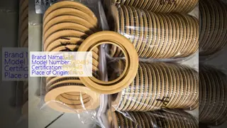 PTFE Oil Seal Heavy Machinery Hydraulic Cylinder