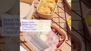 Leak Proof Kraft Food Box Camping Picnic Takeaway