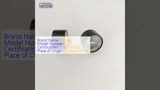 30mm 300 Bar Pressure Gauge For Airgun