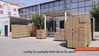 Eco Friendly Paper Bags Sustainable Packaging