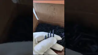 DRYWALL SCREWS
