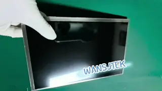 10.1 Inch High Brightness LCD Panel