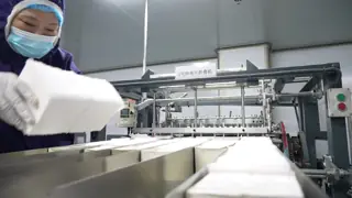 Cotton Gauze Pads