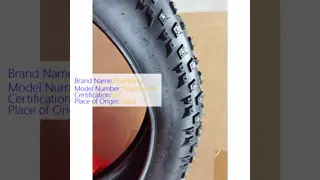 20 Inch Fat Bike Snow Tires For EBIKES