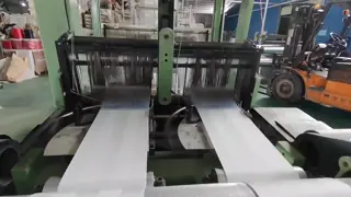 Egg Conveyor Belt Poultry Farm Efficiency