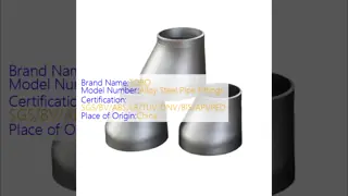 C22 Nickel Alloy Reducer Butt Weld Fitting