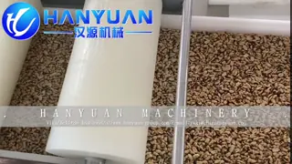 Sesame And Peanut Candy Cutting Machine