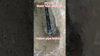 PQWT 125C Leak Detector Pinpoints Leaks Fast