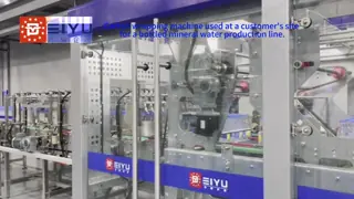 Carton wrapping machine used at a customer's site for a bottled mineral water production line