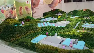 Miniature Model of National Qingyuan Chicken Germplasm Conservation Base