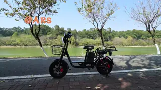 1000W E-Bike 50kmh Hydraulic Brakes