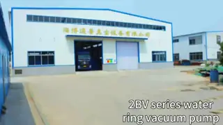 2BV series vacuum pumps