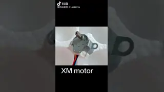 Introduce 25BY48L029 Synchronous Permanent Magnet Motor 24V PMDC Motor Manufacturer For You