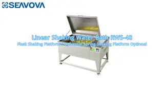 Linear Shaking Water Bath RWS-48
