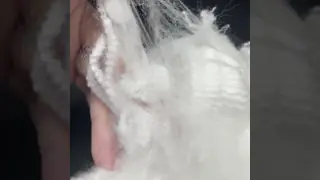 High Elastic Hollow Fiber 3D×64mm High Bulk Resilient for Pillow and Bedding