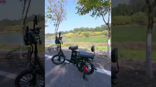 Monster Fat Tire Ebike Long Distance Food Delivery