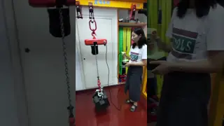 UL Certified SinglUL Certified Emergency Stop 2500KG European Hoist 500kg 6M Lift Customizable Quali