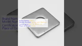 SS316 Square Spring Washers DIN434