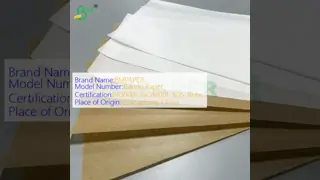 Non Stick Baking Paper Oven Safe