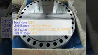 Duplex Steel Blind Flange Corrosion Resistance