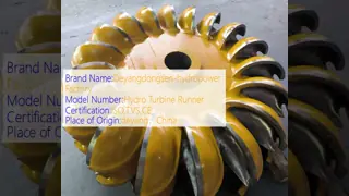 10MW Hydro Turbine Runner Power Generation