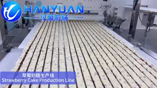 Strawberry Cake Production Line