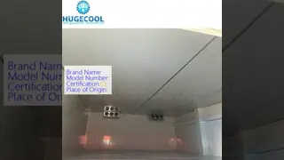 Cold Room Freezer Unit 200 Kw Chiller Solution
