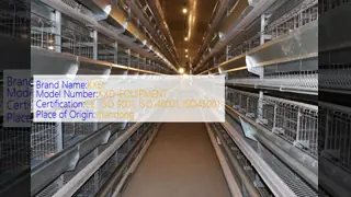 Durable Layer Cages For Efficient Egg Farms